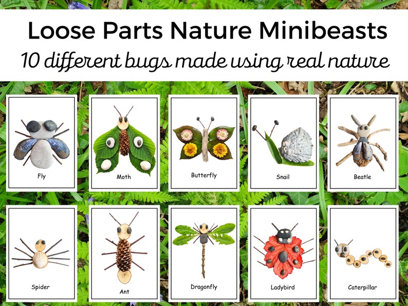 Loose Parts Nature Minibeasts Digital Learning Resource - Etsy