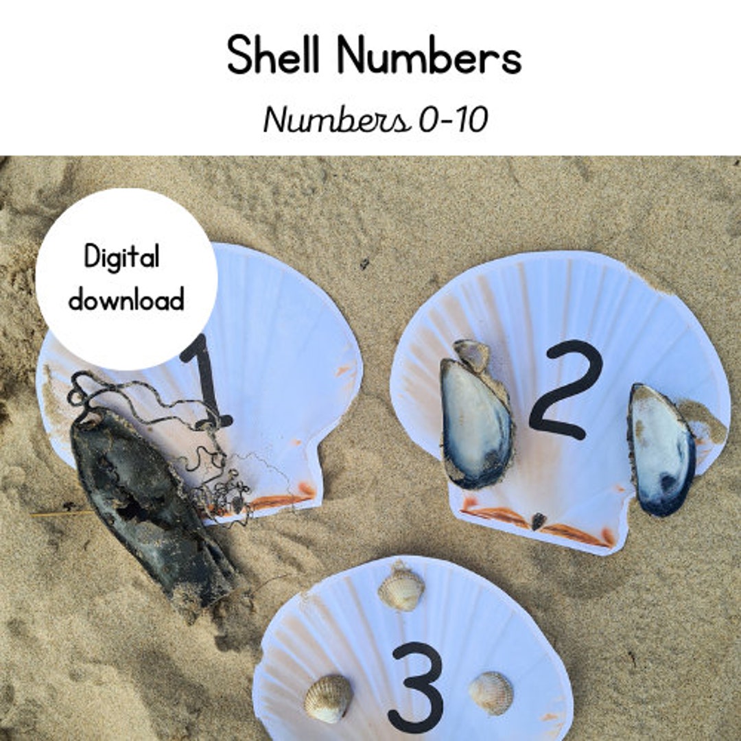 Shell Beach Theme Maths / Math Numbers Digital Download Flashcards 0-10 ...