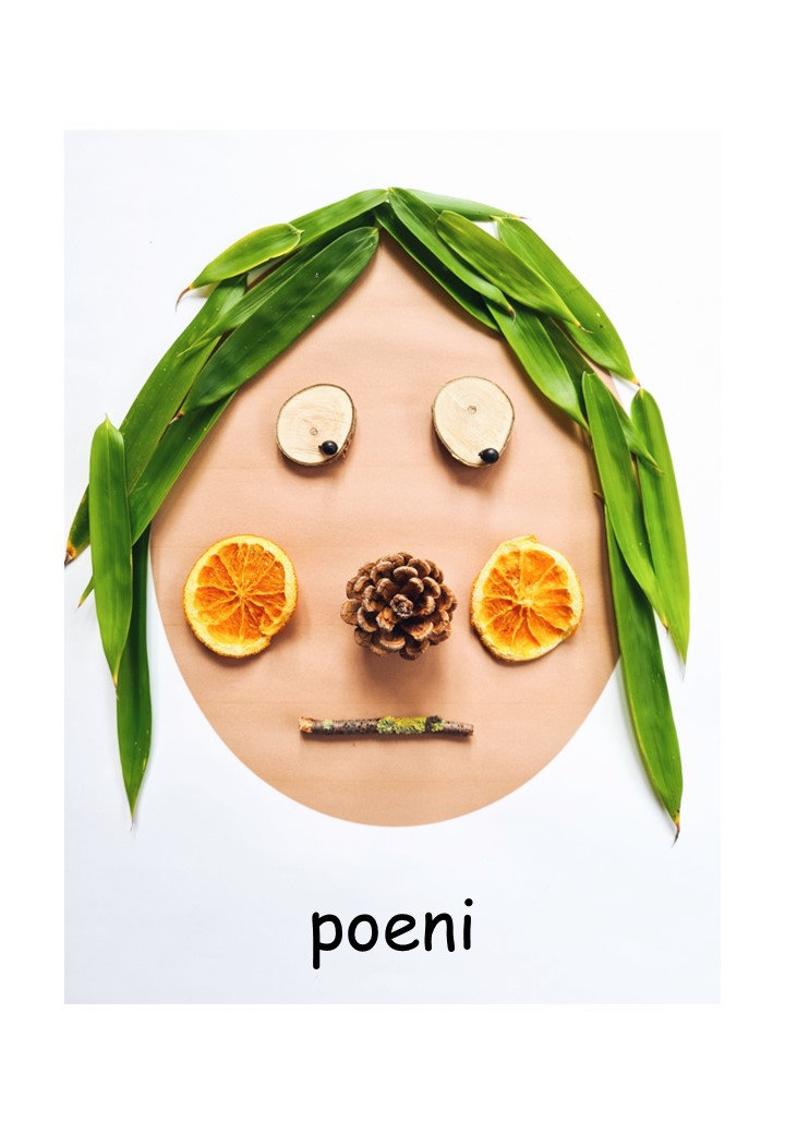 WELSH LANGUAGE Nature Emotions Feelings Flash Cards, Phse, Children's ...