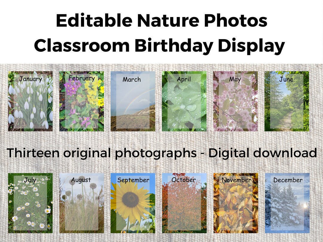 Classroom Birthday Display Nature Photography Natural - Etsy