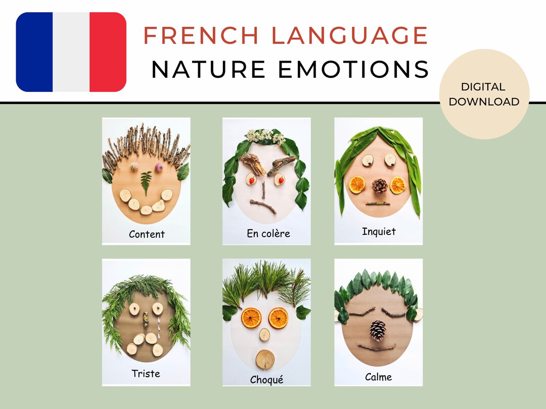 French Language | Nature Emotions Feelings Flash Cards| Digital ...