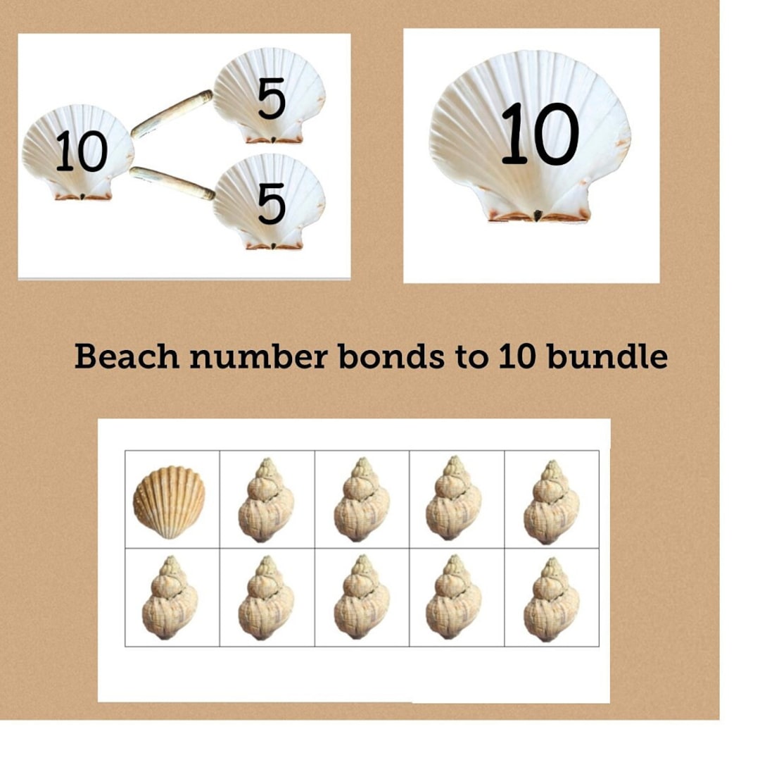 Beach Shell Theme Maths / Math Number Bonds to 10 Learning Resources ...