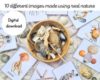 Loose Parts Nature Minibeasts | Digital Learning Resource | Minibeast ...