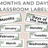Eucalyptus Editable Power Point Classroom Labels Natural Classroom ...
