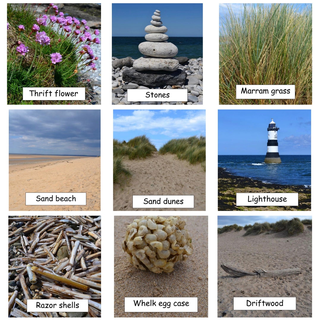 Beach Photograph Digital Download Flash Cards, Montessori, Eyfs, Ks1 ...