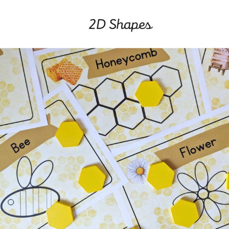 Bee 2D Shapes | Homeschool | Forest School | Digital Learning Resources ...