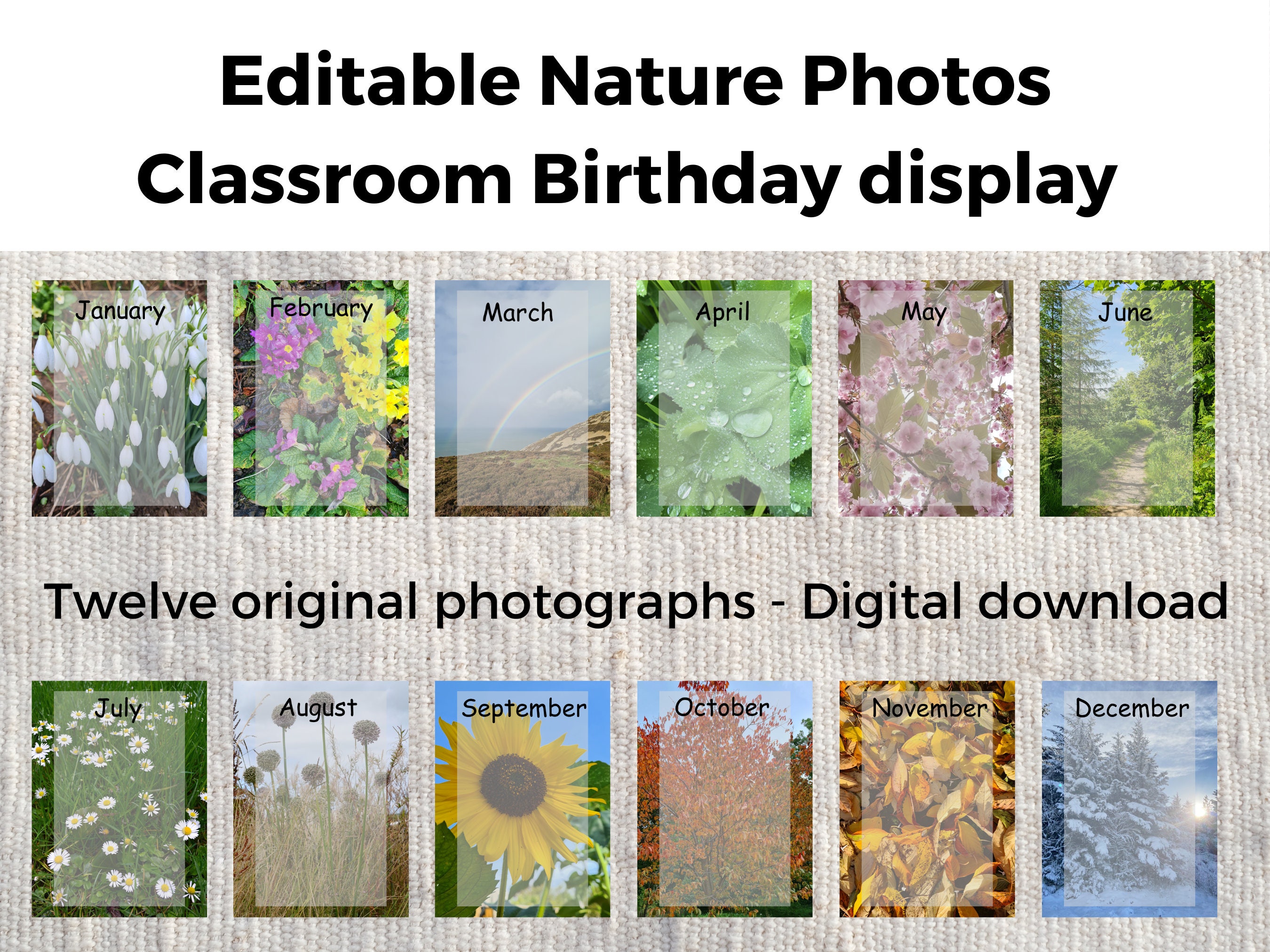Editable Nature Theme Classroom Birthday Display Digital - Etsy