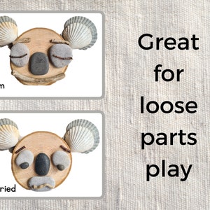 Koala Emotions Flash Cards | Nature Emotions | Digital Download | Kids ...