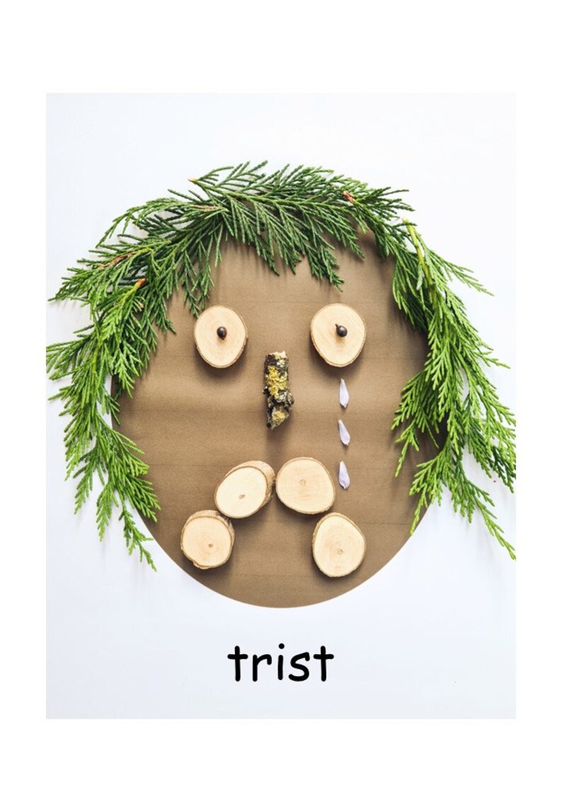 WELSH LANGUAGE Nature Emotions Feelings Flash Cards Phse - Etsy