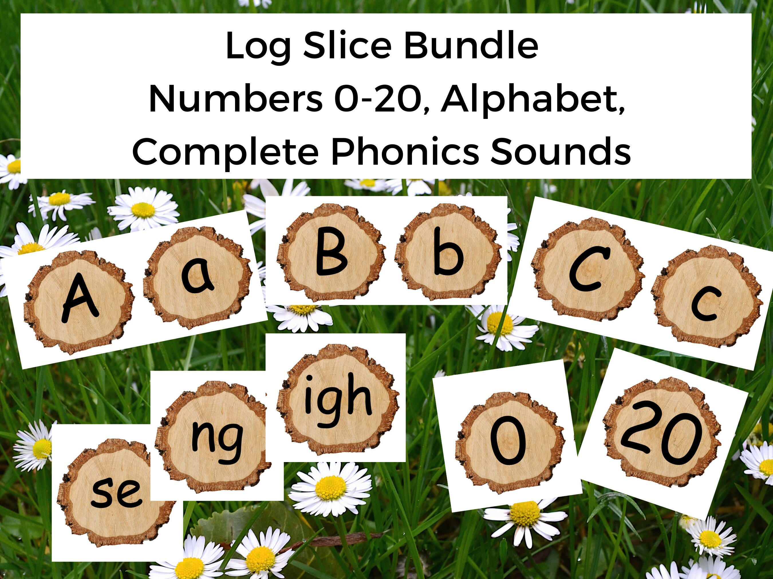Log Slice Alphabet, Numbers to 20, RWI Phonics Sounds | Natural ...