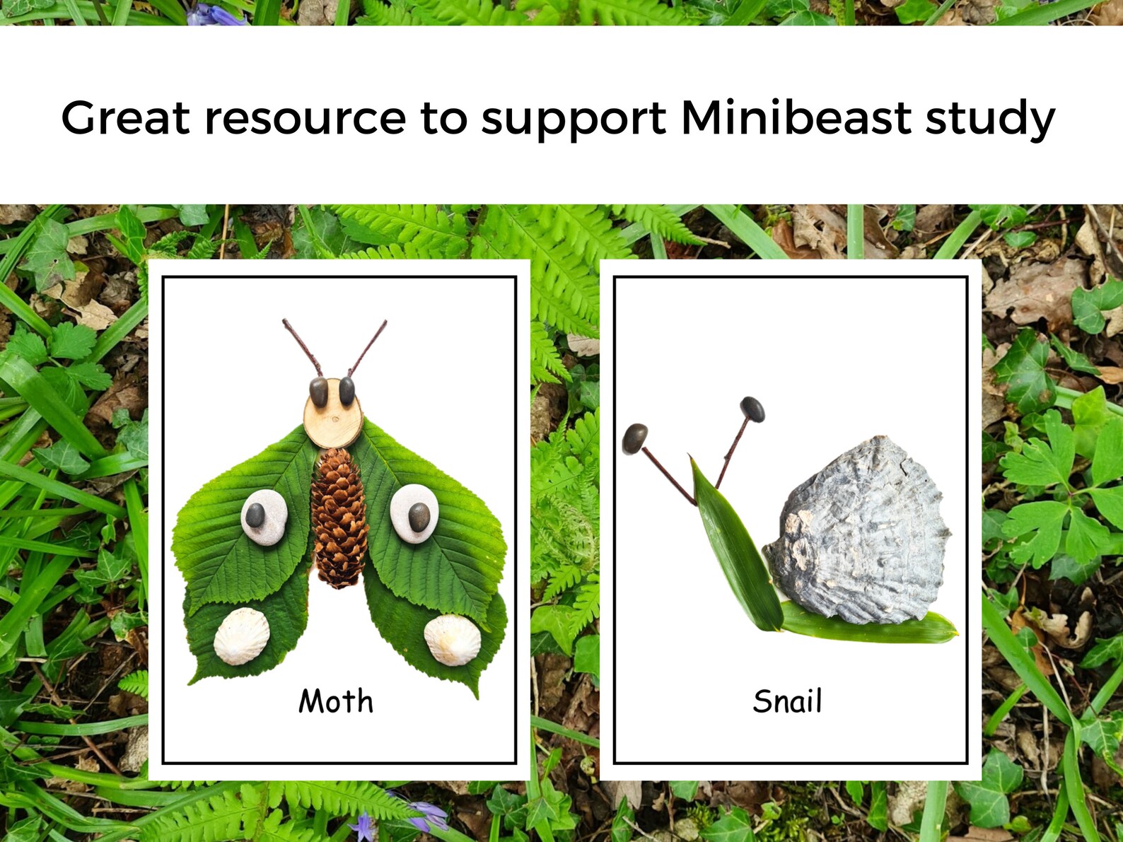 Loose Parts Nature Minibeasts Digital Learning Resource - Etsy Australia