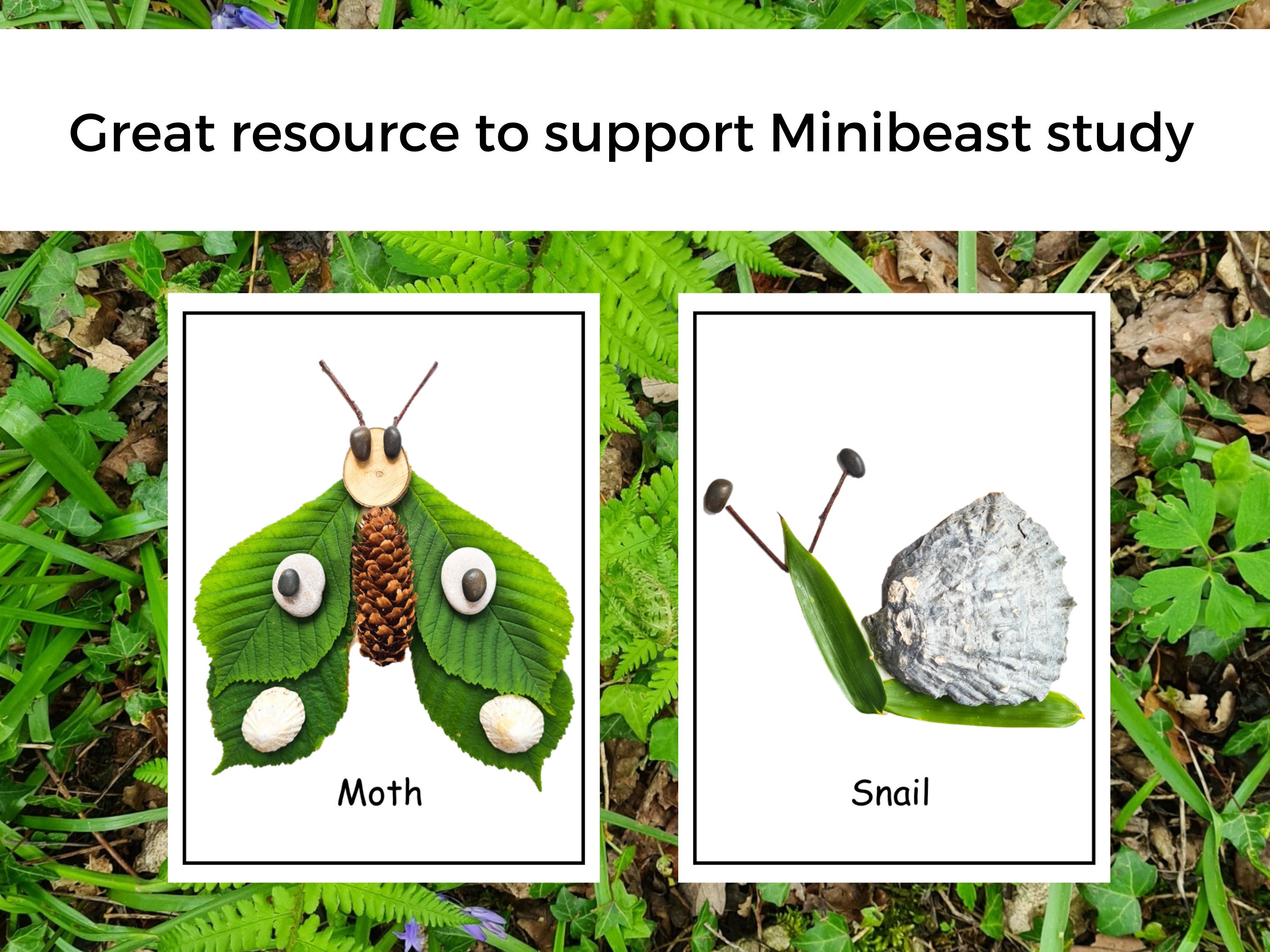 Loose Parts Nature Minibeasts | Digital Learning Resource | Minibeast Study | Nature Printables ...