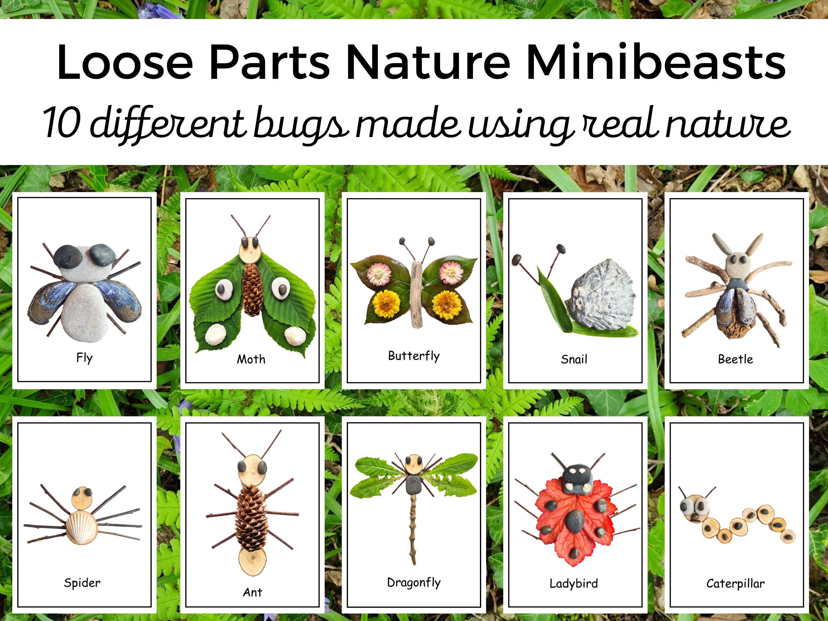 Loose Parts Nature Minibeasts Digital Learning Resource - Etsy Australia