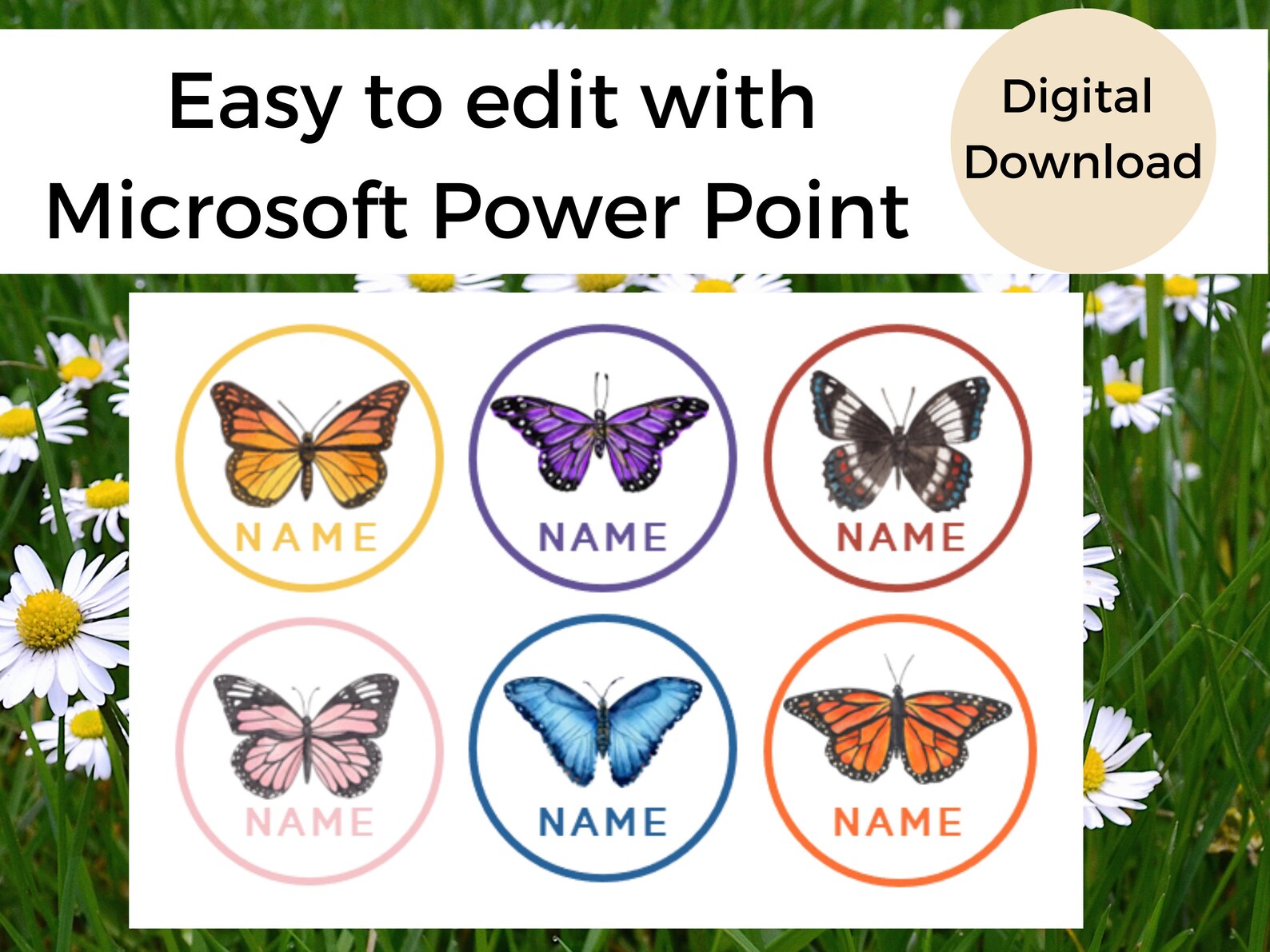 Editable Butterfly Name Labels | Classroom Organisation | Classroom ...