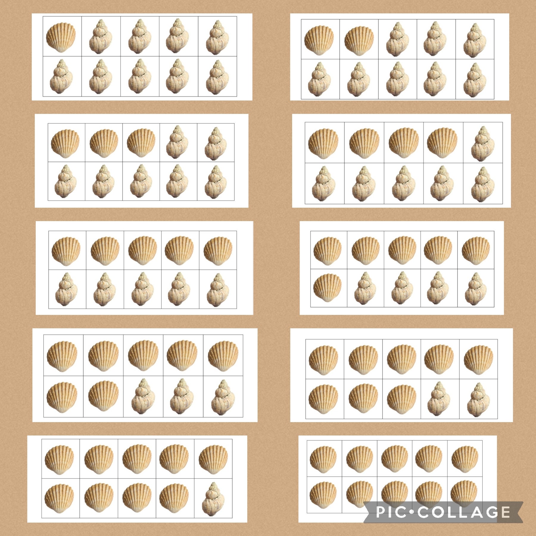 Beach Shell Theme Maths / Math Number Bonds to 10 Learning Resources ...