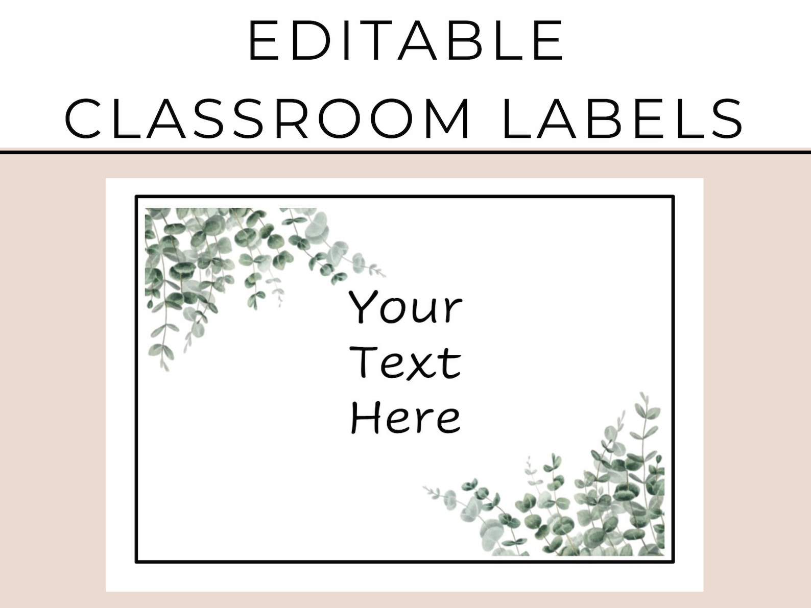 Eucalyptus Editable Power Point Classroom Labels | Natural Classroom ...