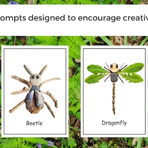 Loose Parts Nature Minibeasts | Digital Learning Resource | Minibeast ...
