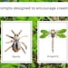 Loose Parts Nature Minibeasts | Digital Learning Resource | Minibeast ...