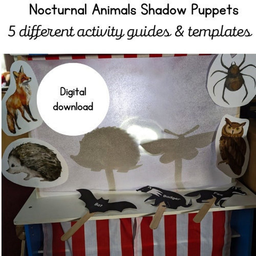 Nocturnal Animals Shadow Puppets | Homeschool | Forest School | Digital ...