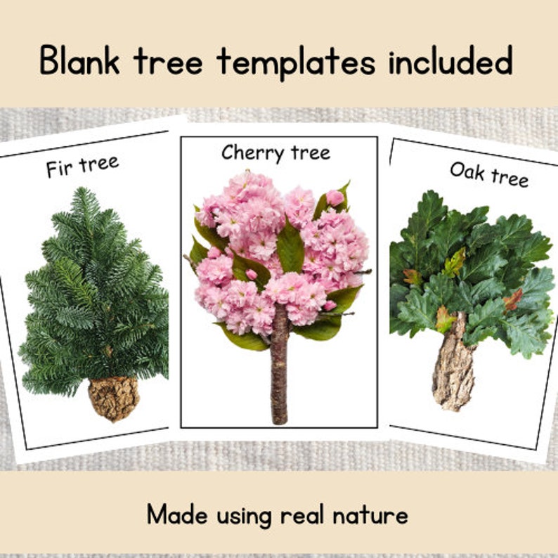 Family Tree and Friends Tree Activity | Nature Emotions | Digital ...