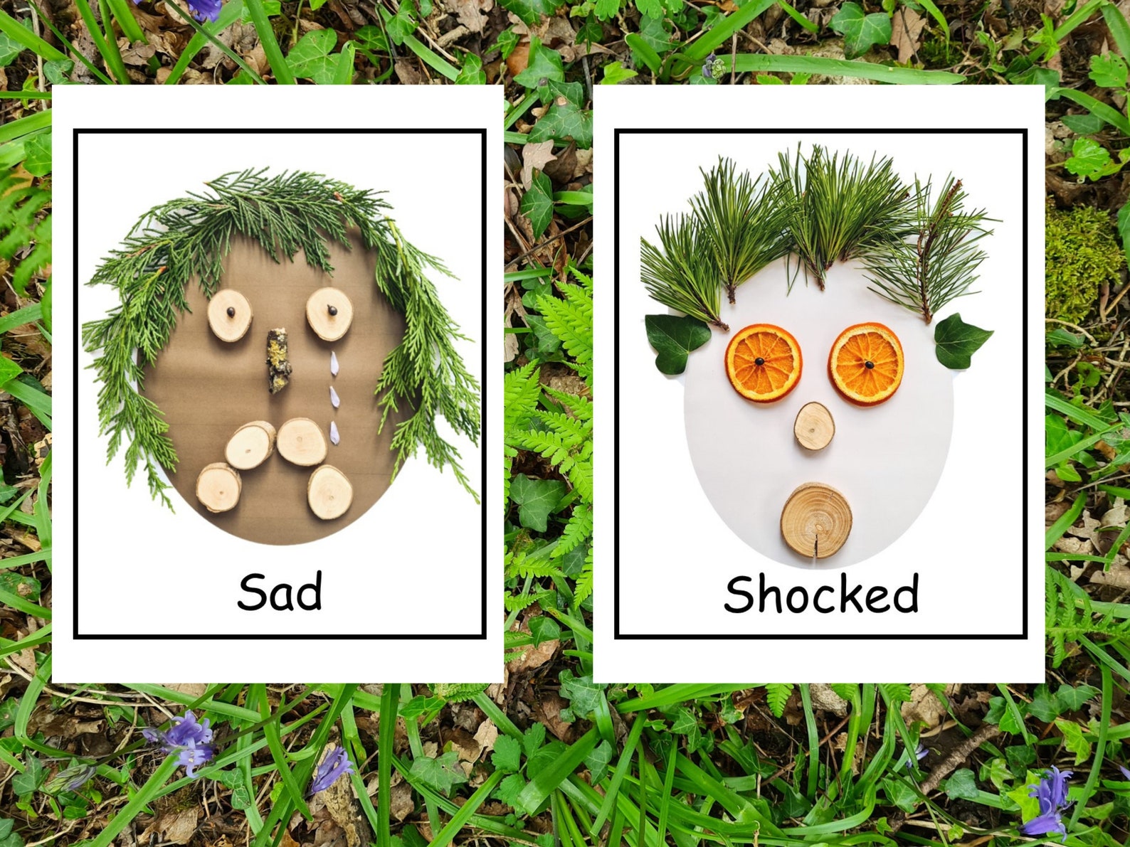 Emotions Flash Cards Nature Emotions Digital Download - Etsy