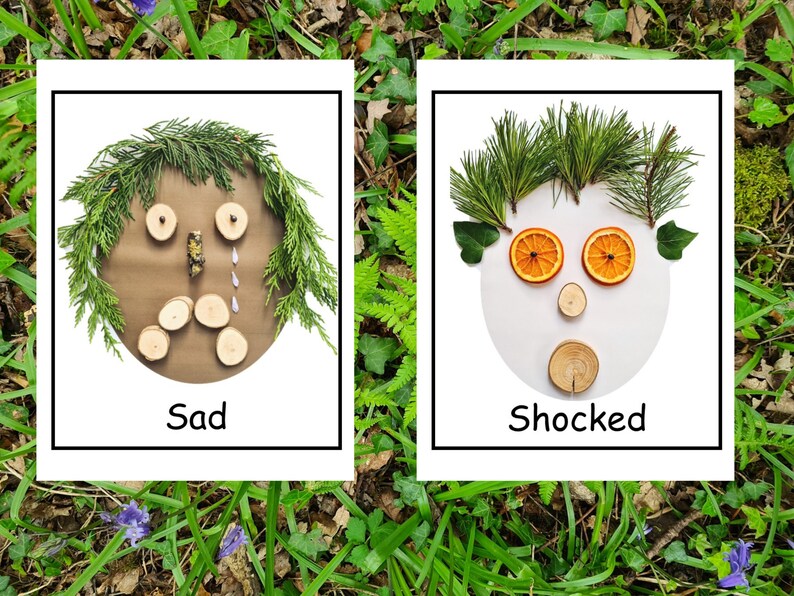 Emotions Flash Cards Nature Emotions Digital Download - Etsy Canada