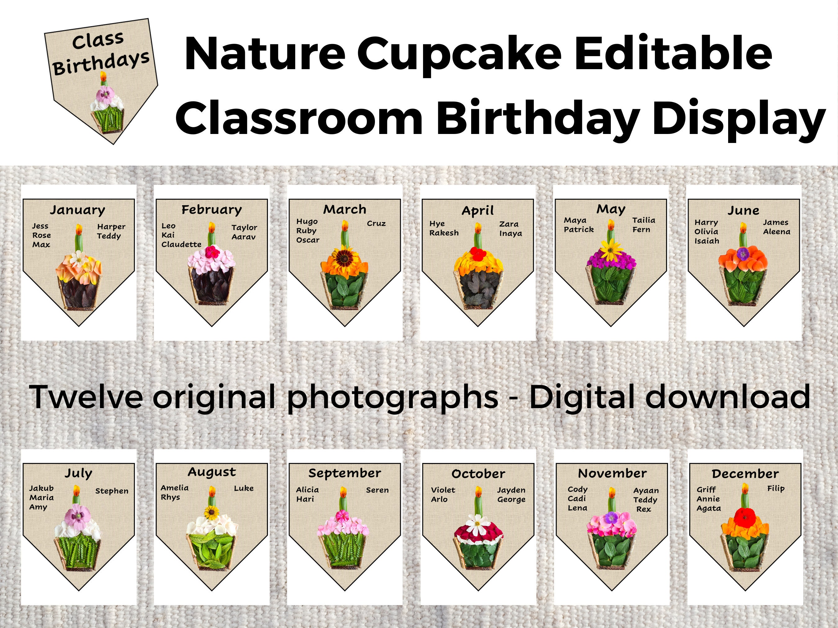 Editable Class Birthday Display Birthday Board Nature Cupcake Theme ...