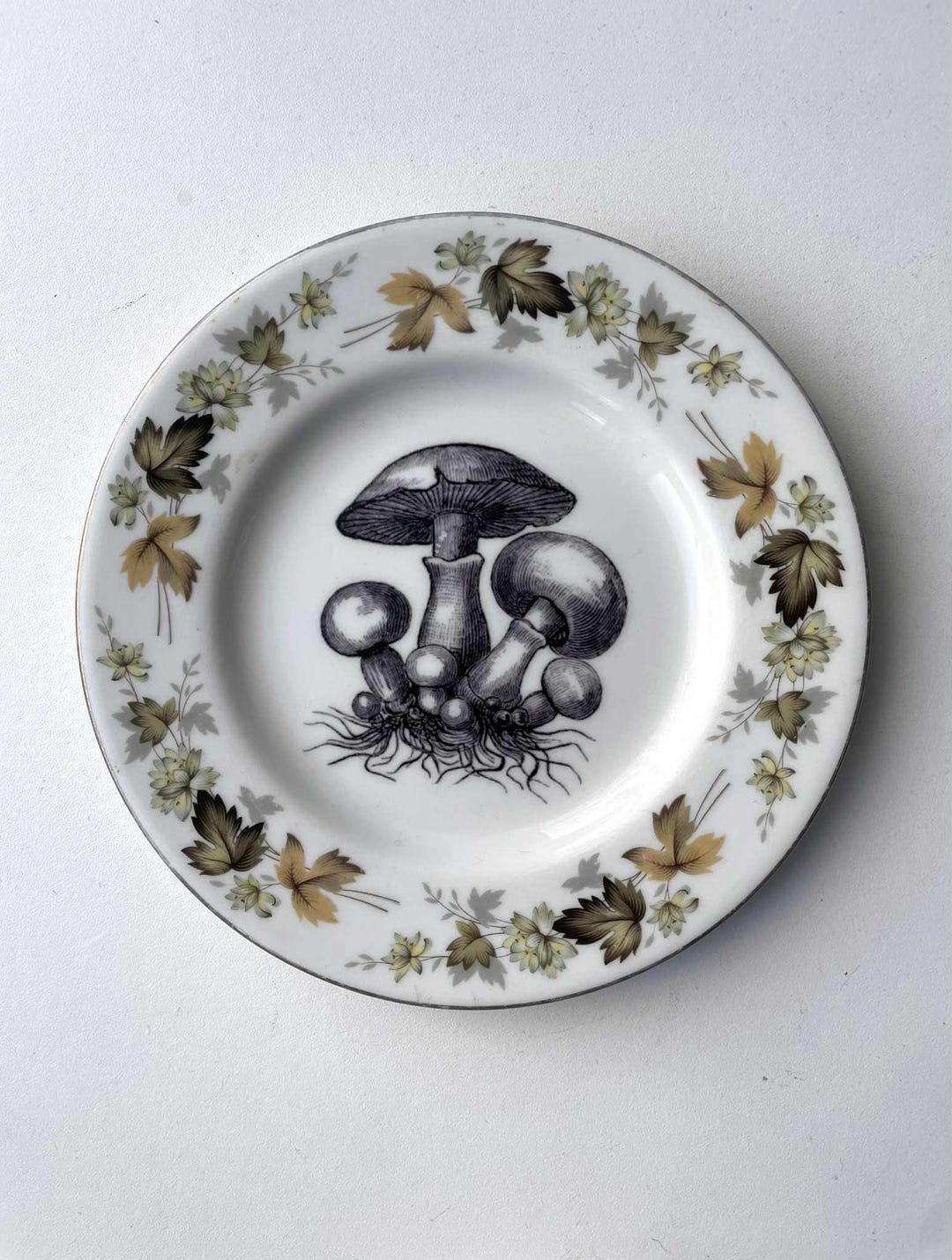 Vintage Victorian Mushroom Plate Altered Art Wall Plate / Gothic ...