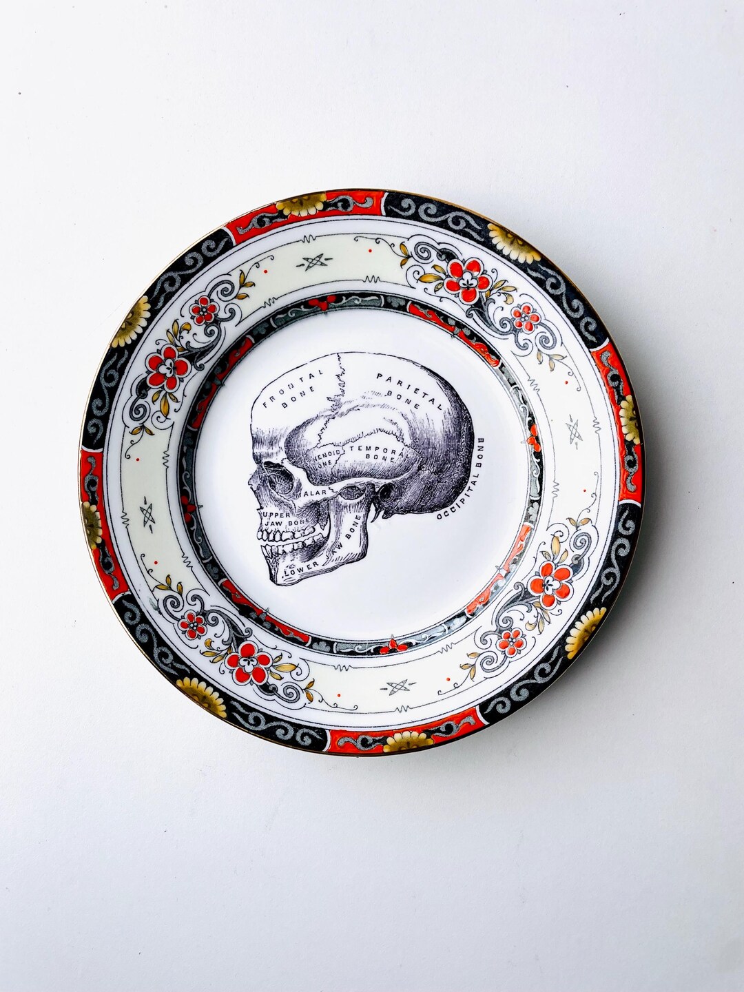 Vintage Anatomical Skull Plate / Altered Art / Gothic / Skeleton ...