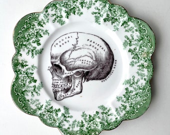 Victorian Skull Plates - Etsy