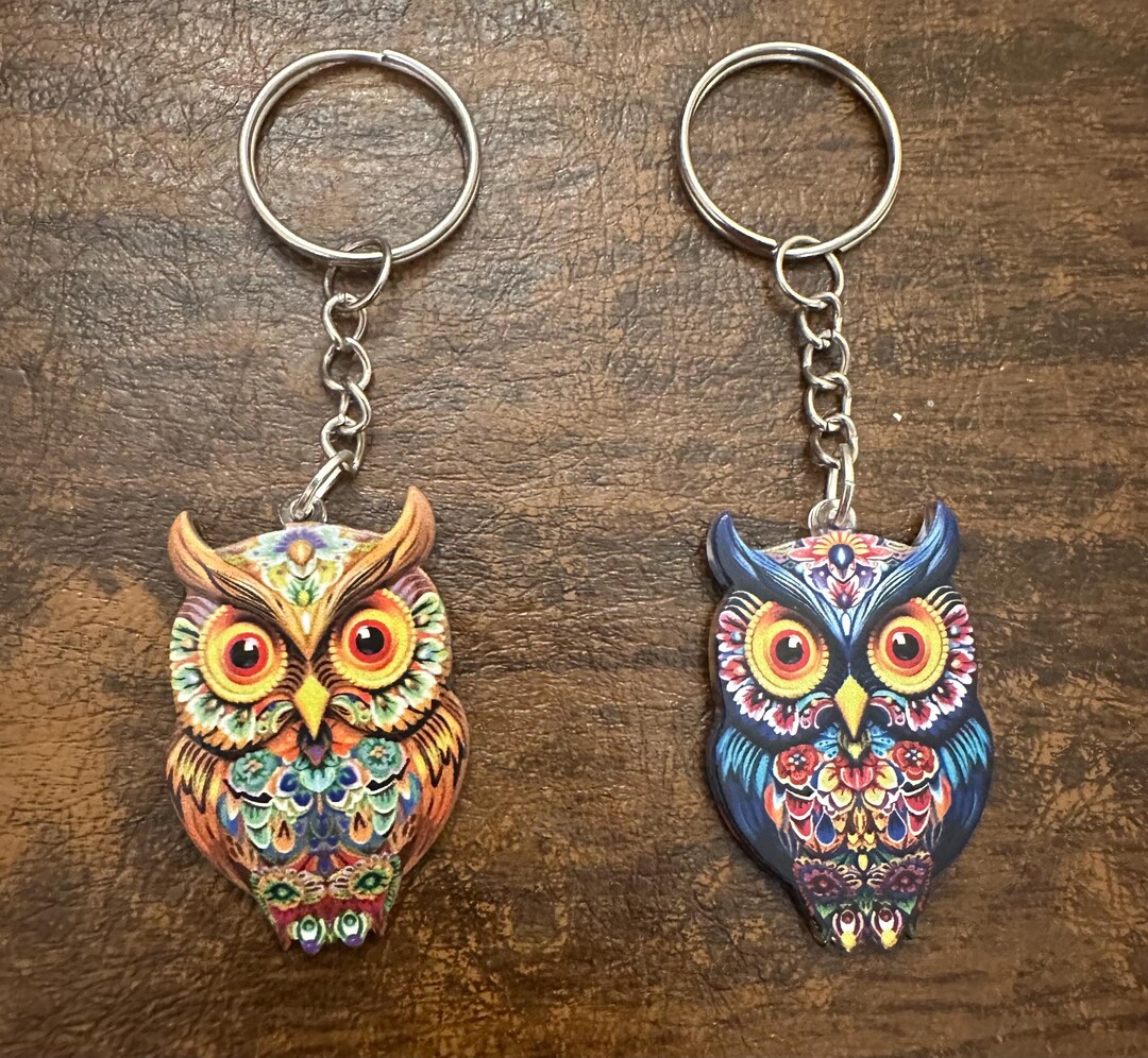 Colorful Owl Keychains - Etsy
