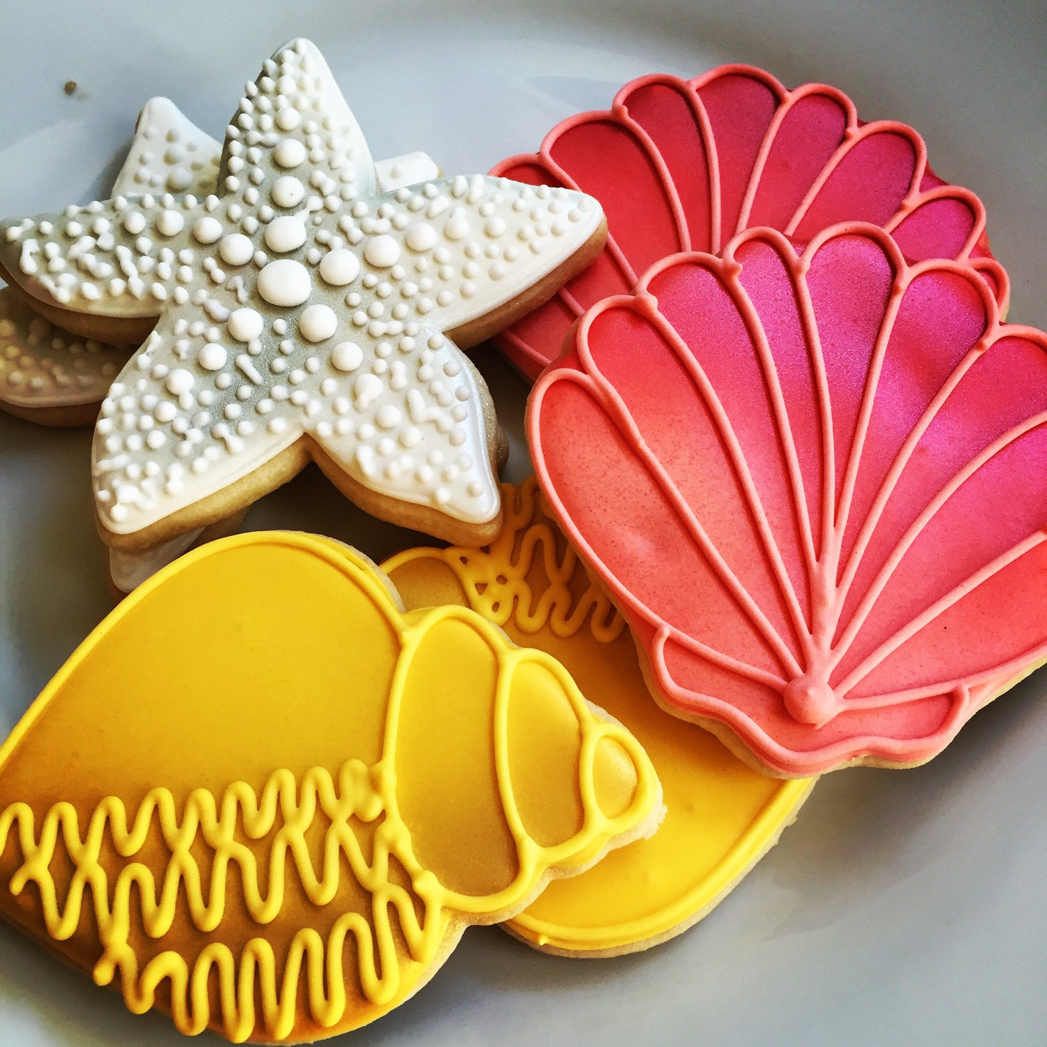Seashell Beach Decorated Sugar Cookies-1 Dozen - Etsy