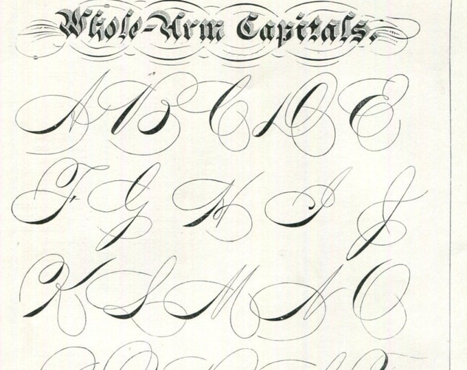 Calligraphy Capital Letters Alphabet Print Capitals Antique Wall Decor ...