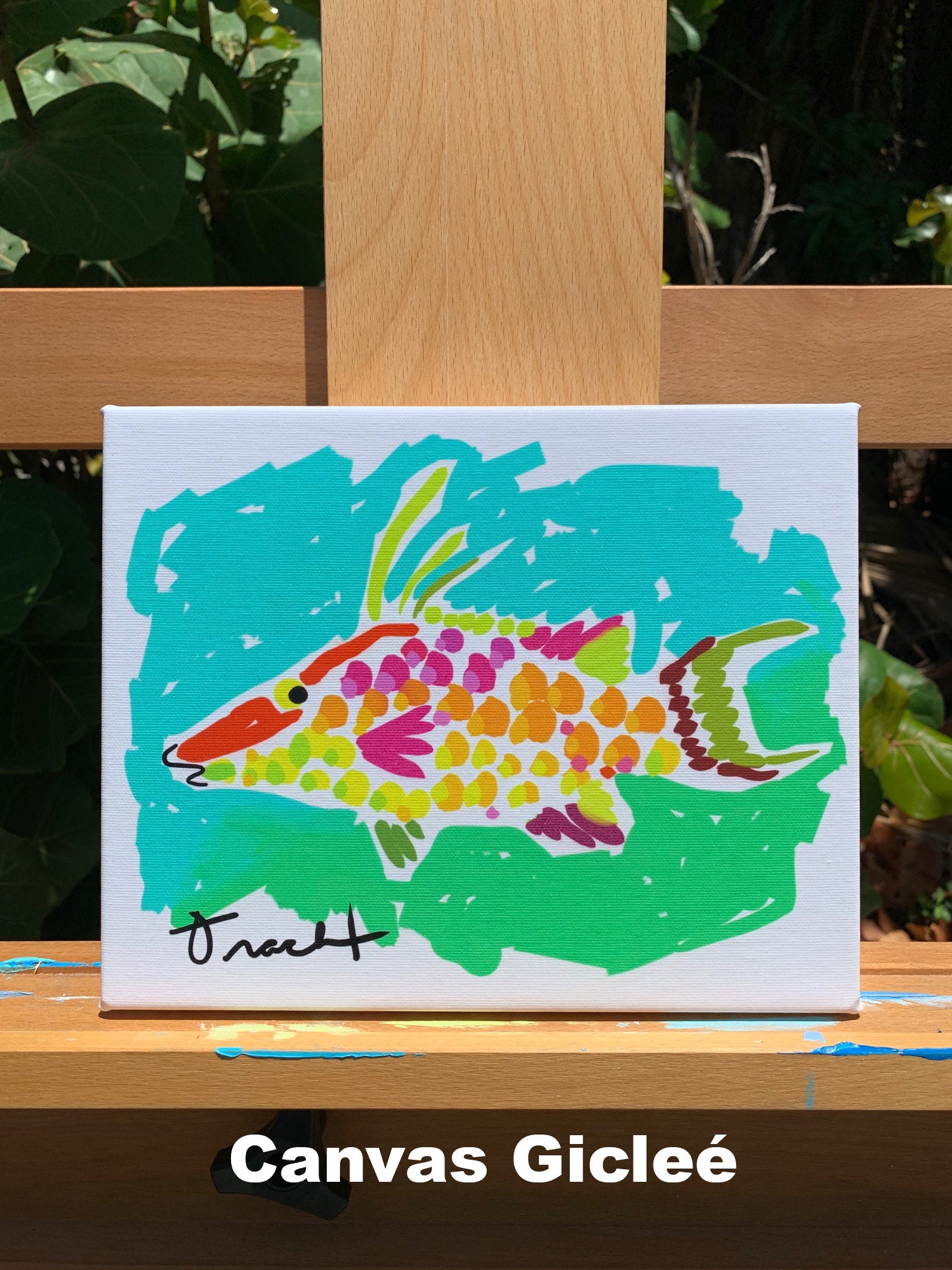 Hog Snapper Fish Print by Kelly Tracht Nautical Decor Ocean | Etsy