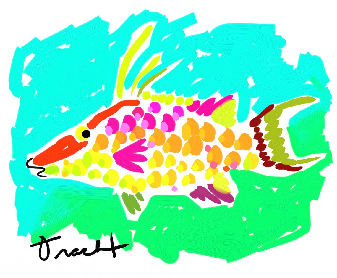 Hog Snapper Fish Print by Kelly Tracht Nautical Decor Ocean | Etsy