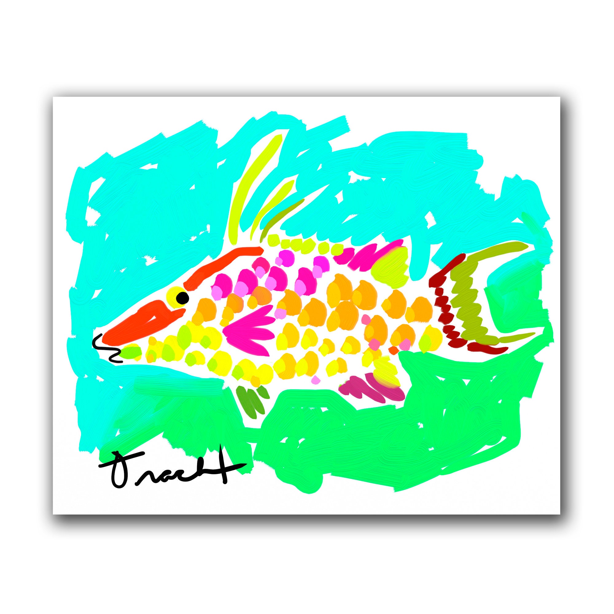 Hog Snapper Fish Print by Kelly Tracht Nautical Decor Ocean | Etsy