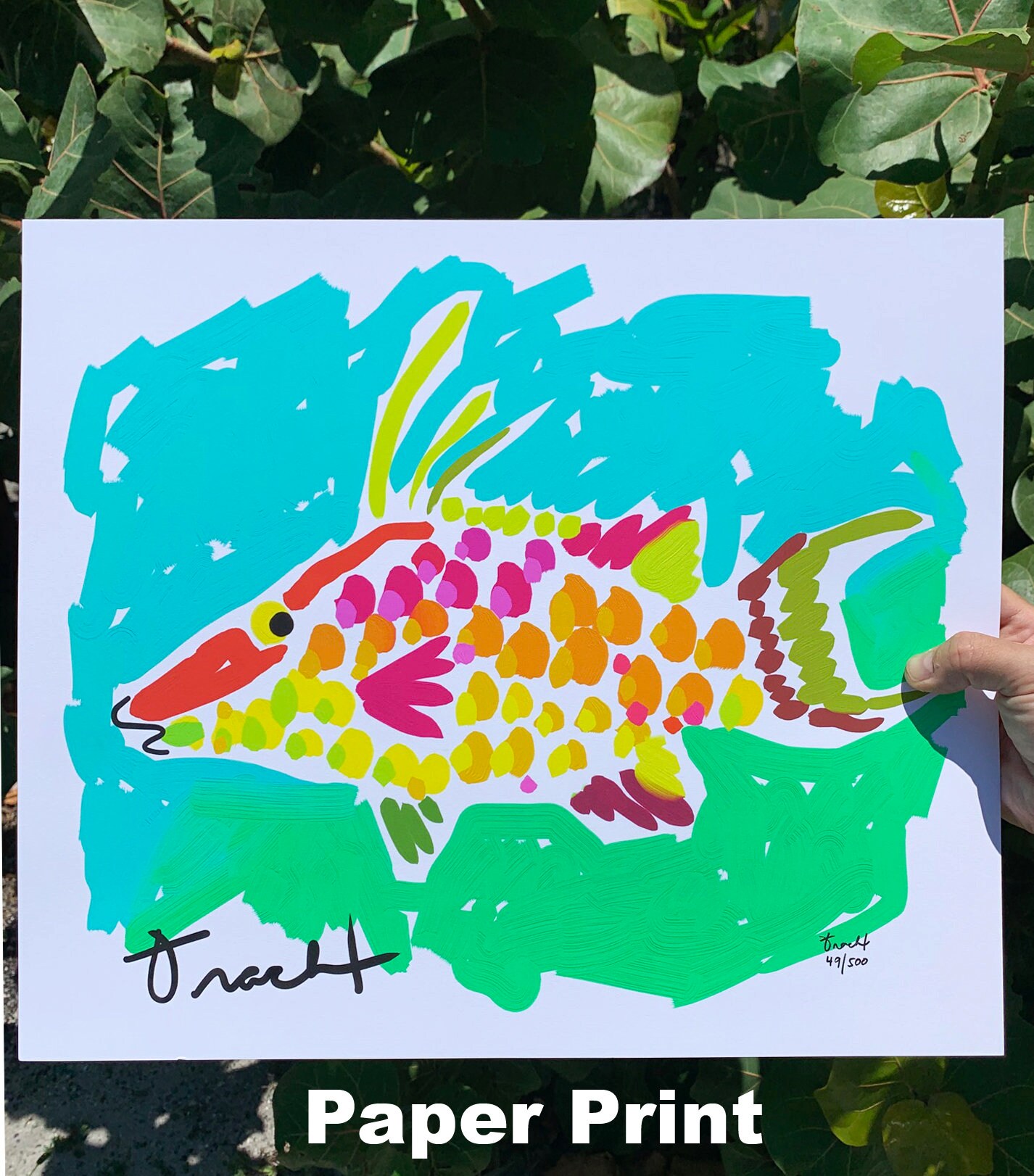 Hog Snapper Fish Print by Kelly Tracht Nautical Decor Ocean | Etsy