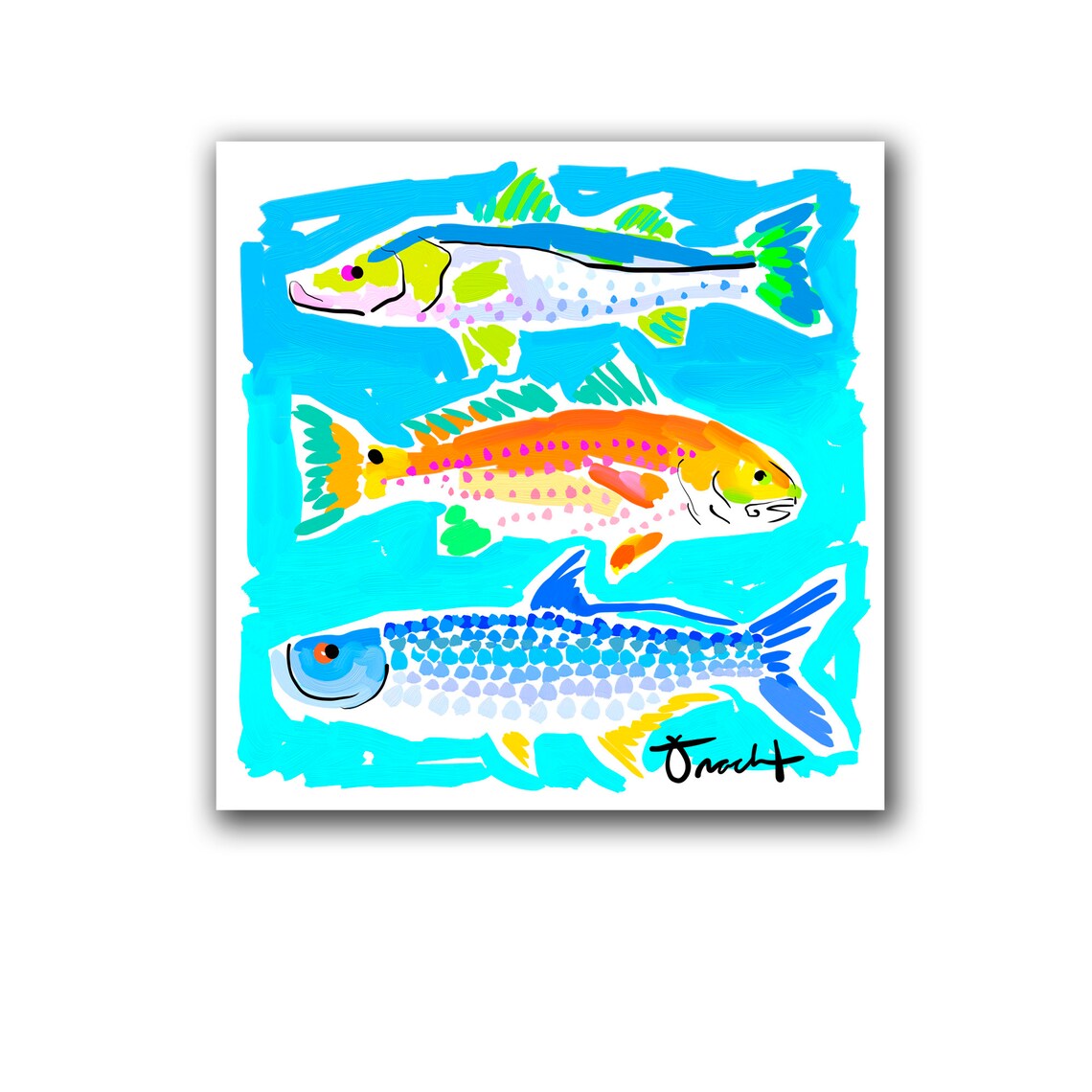 Fish Art Print by Kelly Tracht Grand Slam Snook Redfish - Etsy