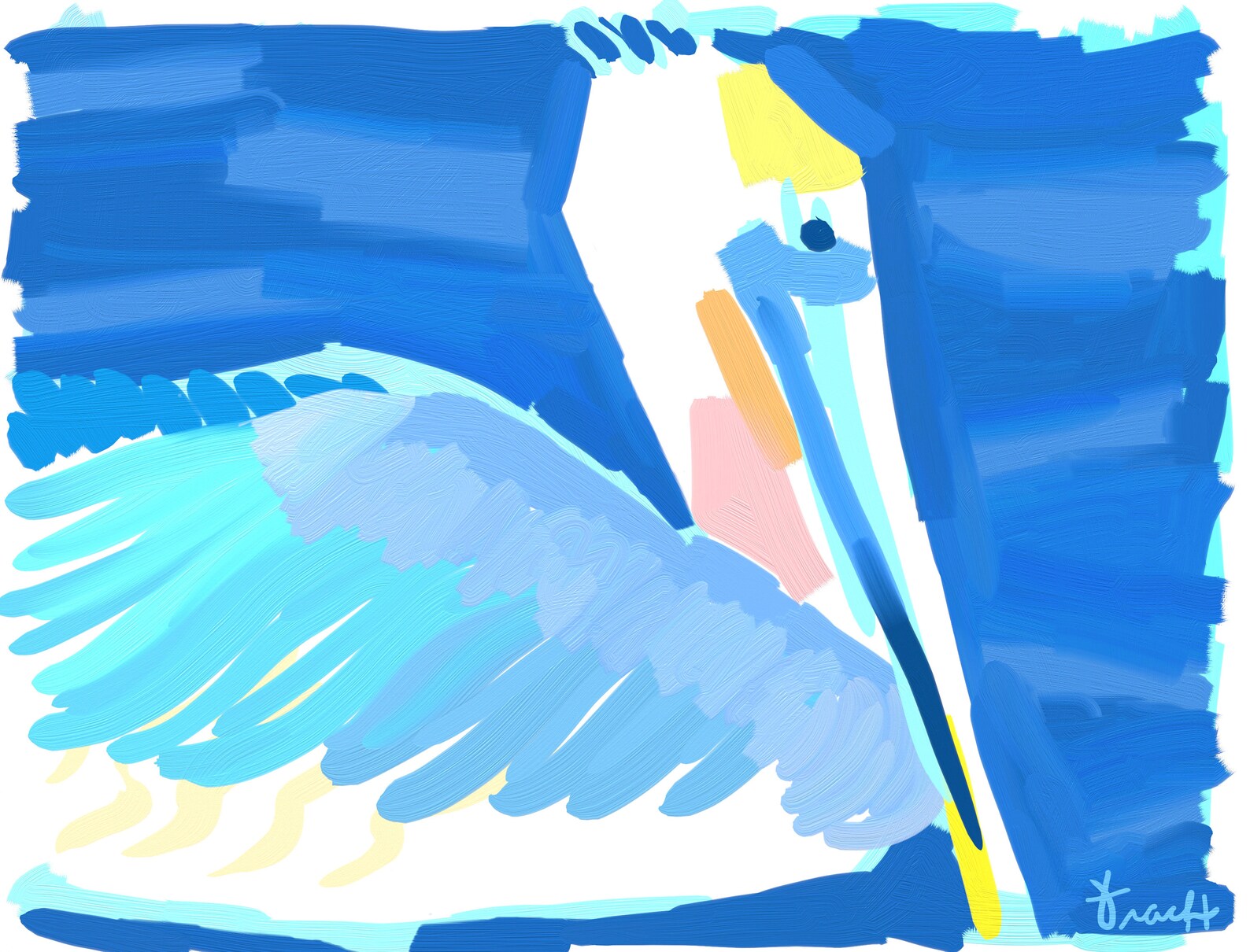 Abstract Pelican Art Print, Colorful Ocean Bird Wall Art by Kelly ...