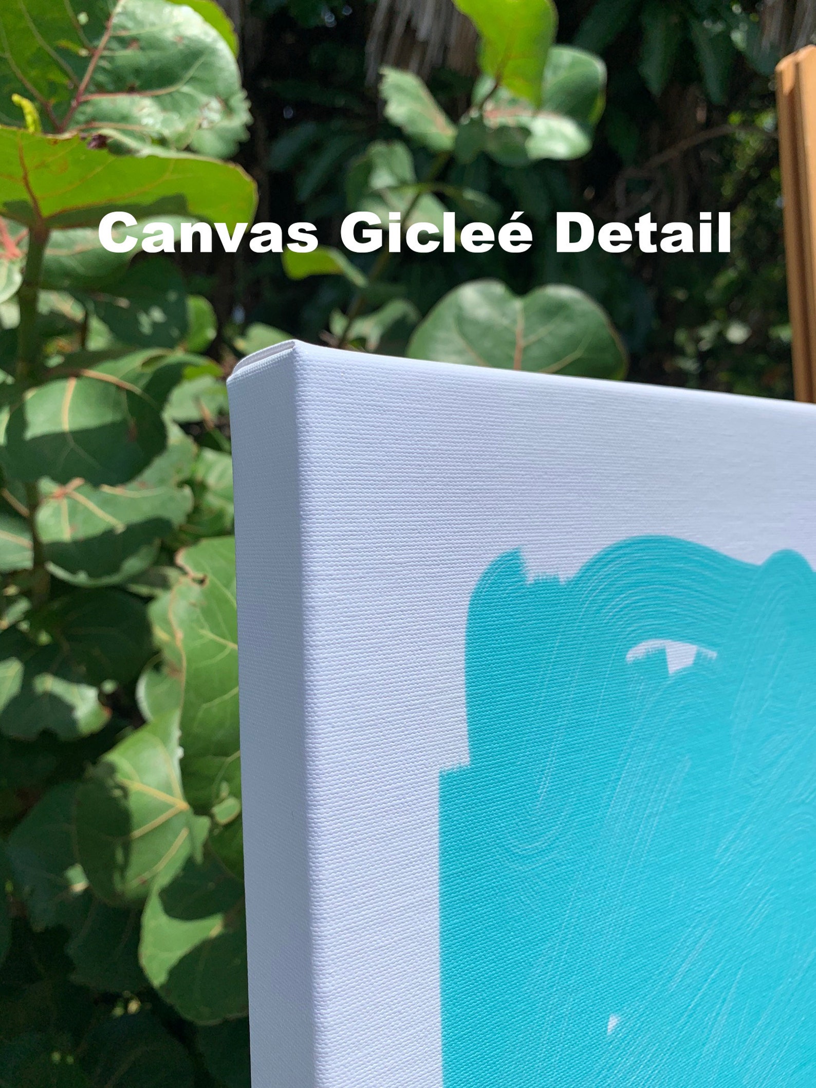 Fish Art Print by Kelly Tracht Parrotfish Painting Wall Art - Etsy