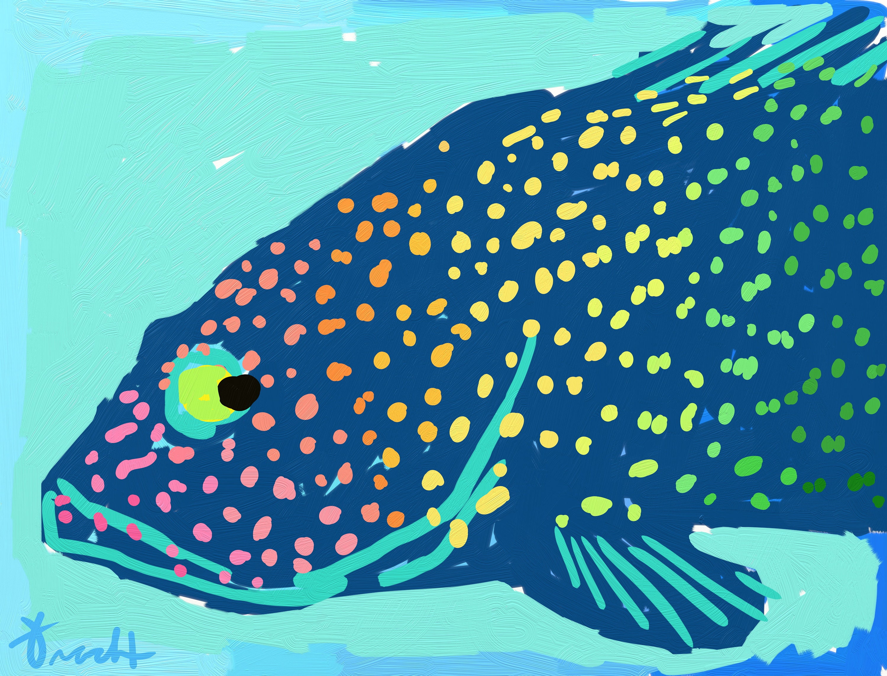 Grouper Fish Art Print by Kelly Tracht Wall Art Giclee | Etsy