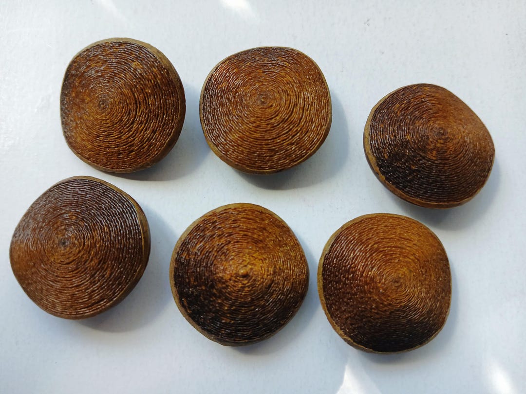 6 Brown Ridges Sewing Buttons 1 Inch 25mm EIG - Etsy