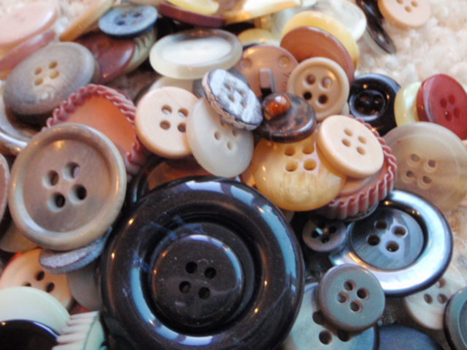 Natural Button Mix 5 to 30mm - Etsy