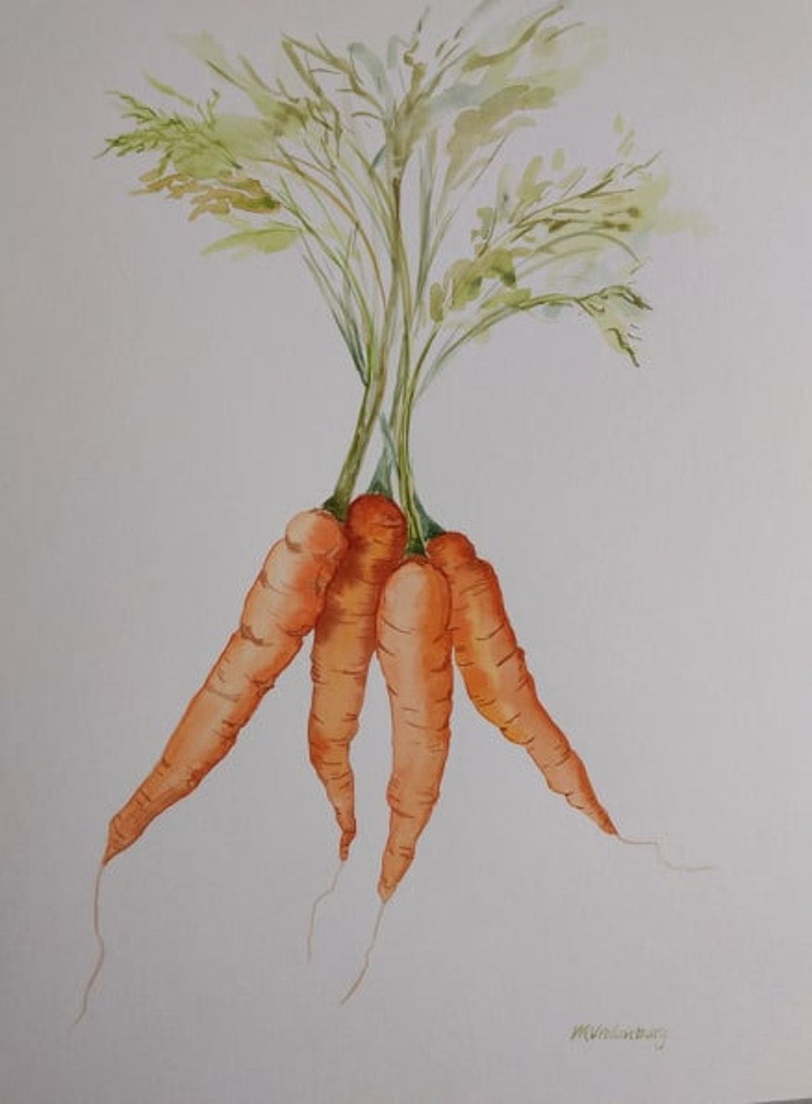 Carrots Orange Root Vegetable Kitchen Dining Room Decor Farmhouse ...