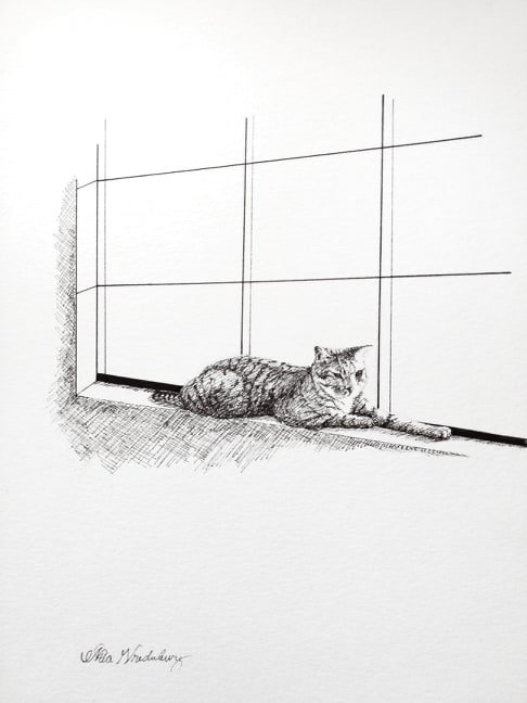 Sunlight - Tiger Cat Sunbathing in Window- Kitty Kitten Relaxing Feline ...