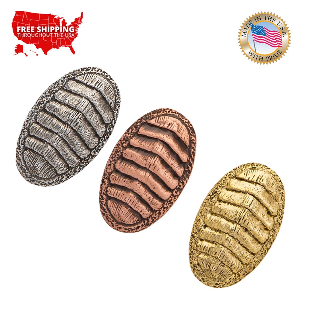 Creative Pewter Designs Chiton Pewter Lapel Pin Brooch, Shellfish ...