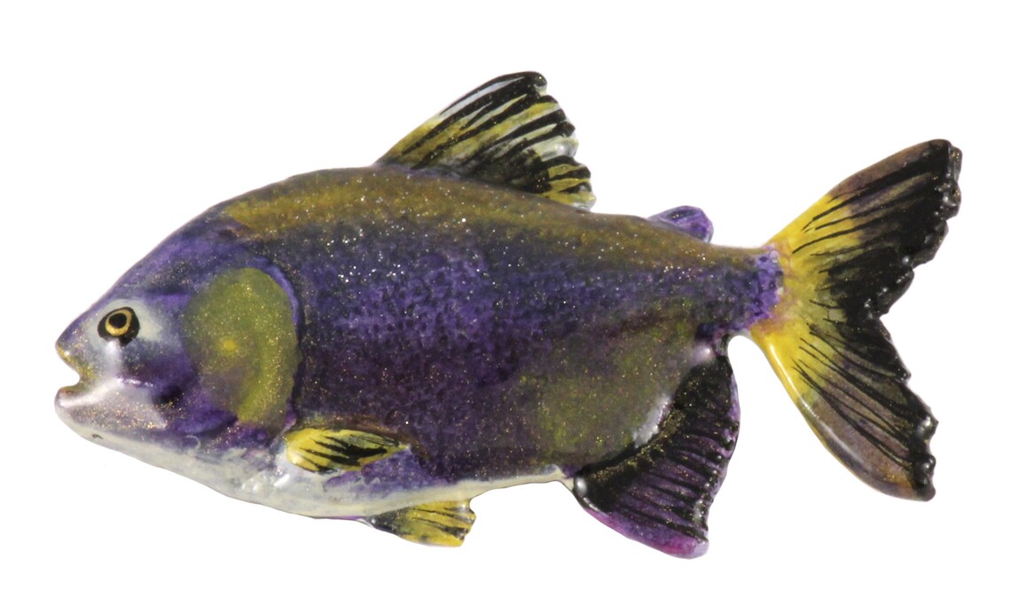 Creative Pewter Designs Pacu Fish Pewter Lapel Pin or Magnet F101 - Etsy
