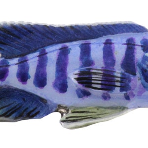 Creative Pewter Designs African Cichlid Fish Pewter Lapel Pin or Magnet ...