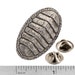 Creative Pewter Designs Chiton Pewter Lapel Pin Brooch, Shellfish ...