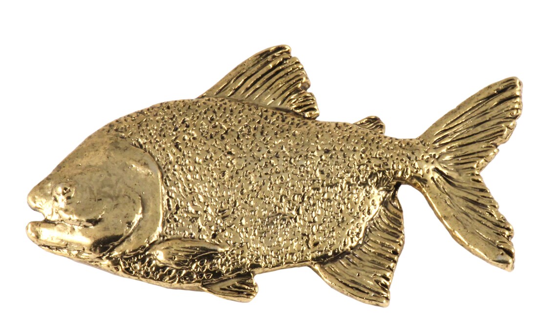 Creative Pewter Designs Pacu Fish Pewter Lapel Pin or Magnet F101 - Etsy